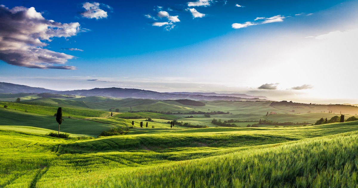 Florence: Private Val d'Orcia with Brunello wines and Lunch | GetYourGuide