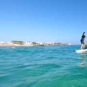 Windsurf Lessons | GetYourGuide