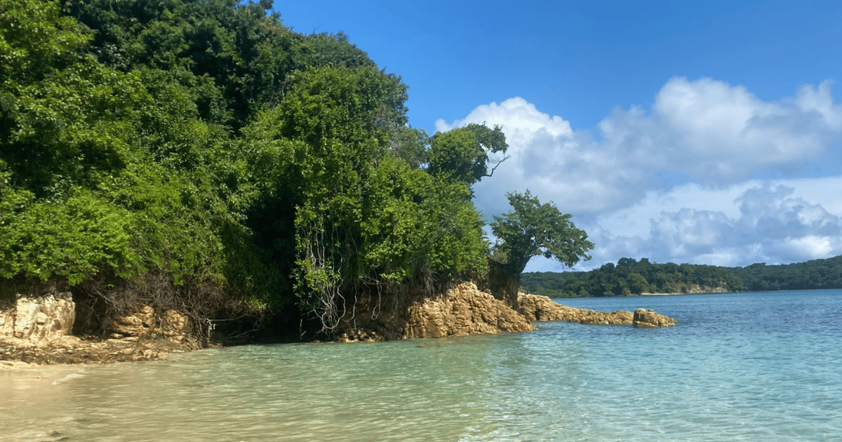 Mogo Mogo Insel Tagestour | GetYourGuide