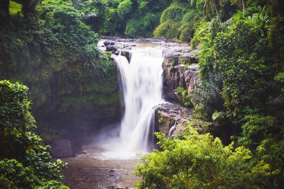 Bali: Ubud day tour | GetYourGuide