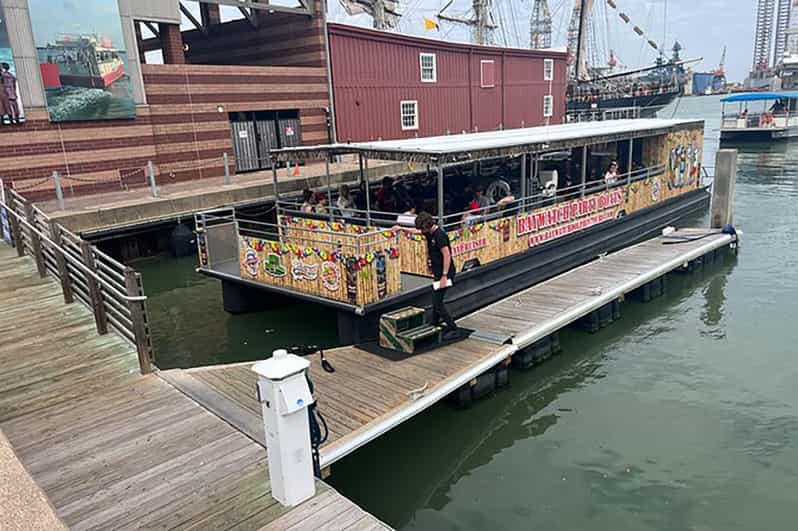 Galveston: Dolphin-Watching Cruise | GetYourGuide