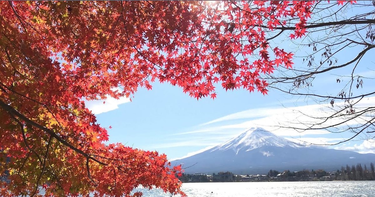 Private Tour zum Fuji mit dem Auto, mit Abholung und Rückfahrt ab Tokio ...