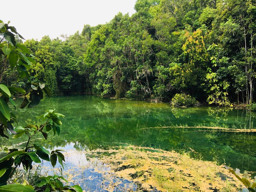 Krabi: Emerald Pool and Hot Springs Waterfall Half-Day Trip | GetYourGuide