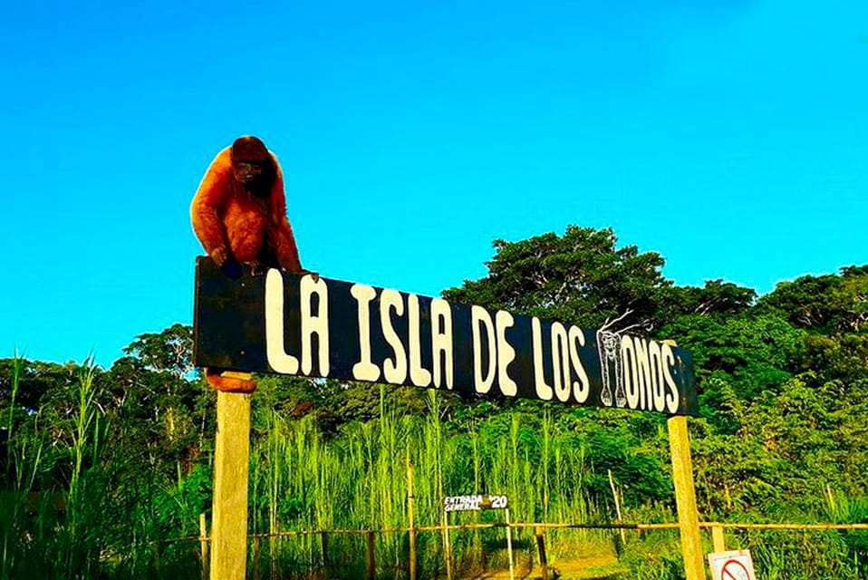 excursión privada a la isla de los monos | GetYourGuide
