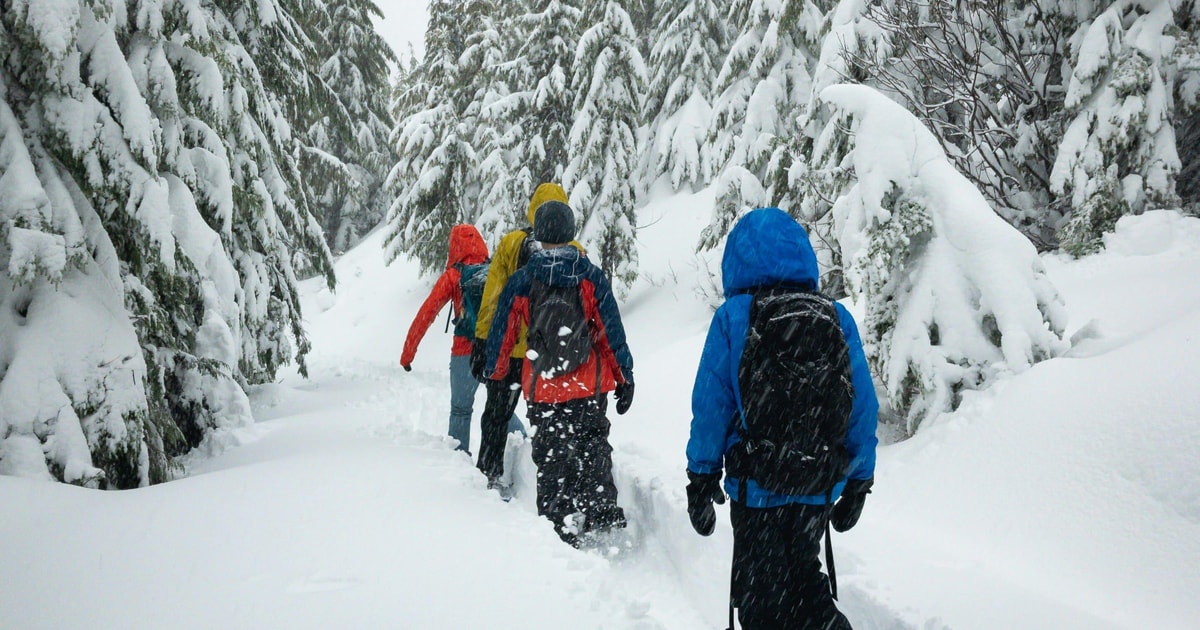 Chamonix: Snowshoe Walk Under the Stars with a Private Guide | GetYourGuide