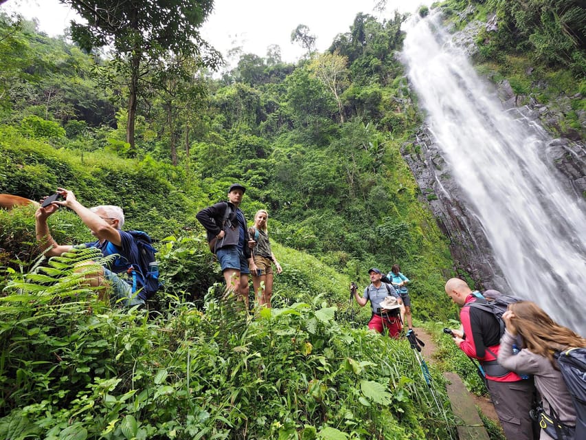 Materuni Waterfalls & Coffee Plantation Tour | GetYourGuide