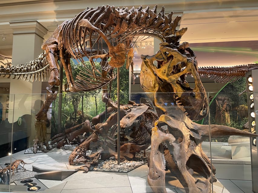 Washington DC: Smithsonian Highlights | GetYourGuide
