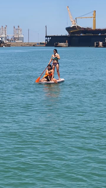 Cadiz Bay: 3 hours tour in a private boat in the Cadiz Bay | GetYourGuide