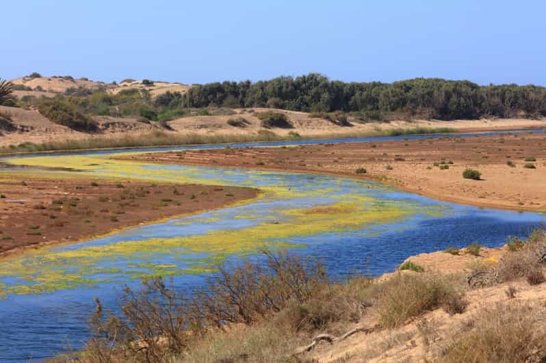 From Agadir: Sous Massa National Park Desert Safari w/Lunch | GetYourGuide