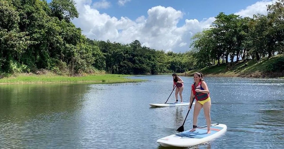 La Fortuna: Lake Arenal Private Stand Up Paddle Tour | GetYourGuide