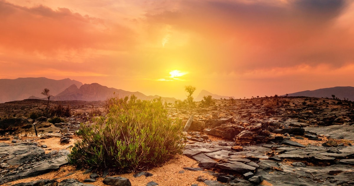 Gran Cañón de Omán Jebel Shams | GetYourGuide