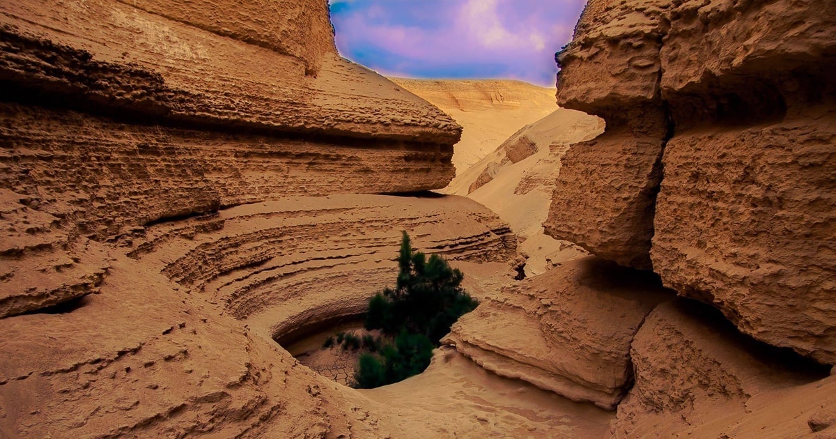 Ica : Full day at Los Perdidos Canyon | GetYourGuide