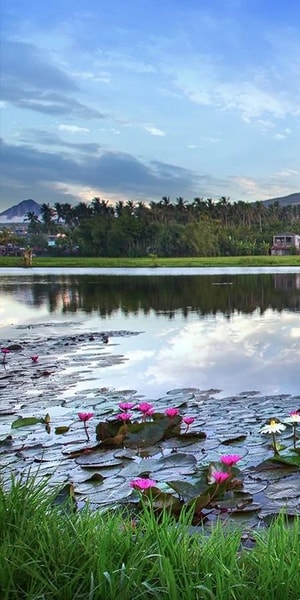 Bicol Mayon Volcano ATV Adventure (Shared Tour) | GetYourGuide