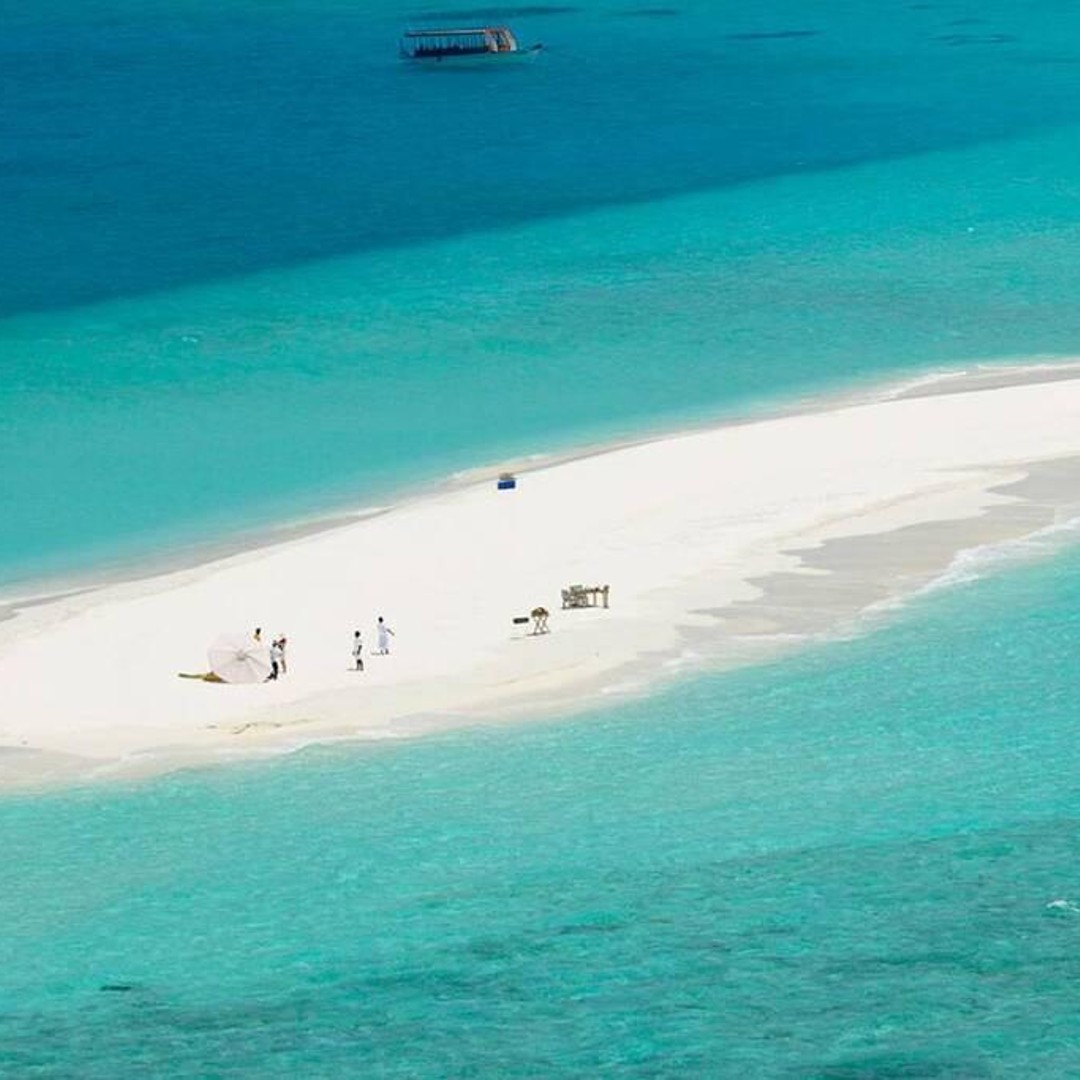 ZANZIBAR: Isla de Pungume, picnic en SandBank con barbacoa | GetYourGuide