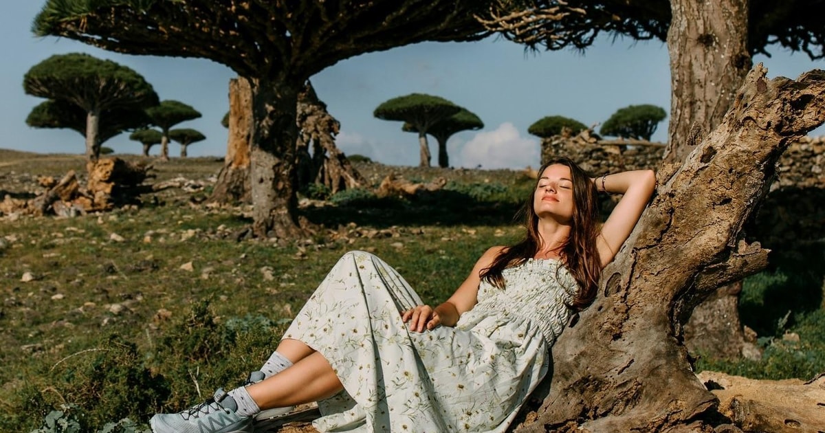 8-Days Socotra Island + City of Aden: Exclusive Tour Package | GetYourGuide