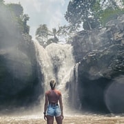 Chasing Cascades: Bali Waterfall Tour | GetYourGuide
