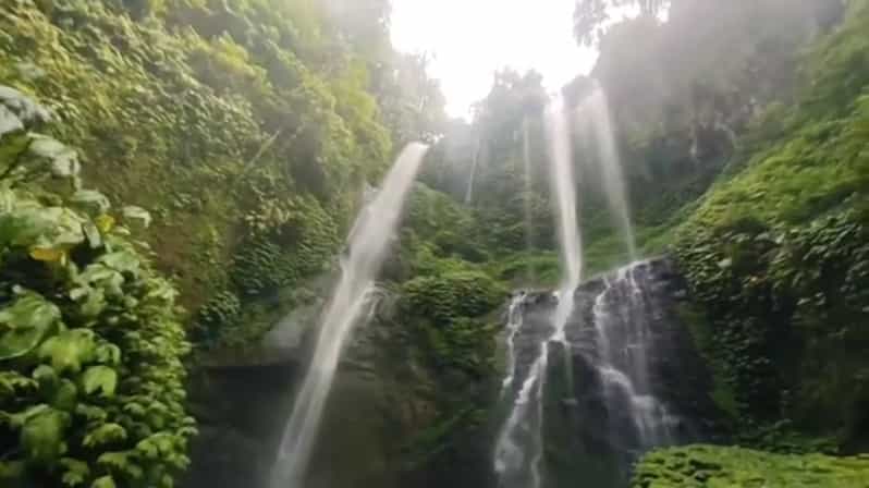 Bali: Sekumpul Waterfall and Fiji Waterfall Private Tour | GetYourGuide