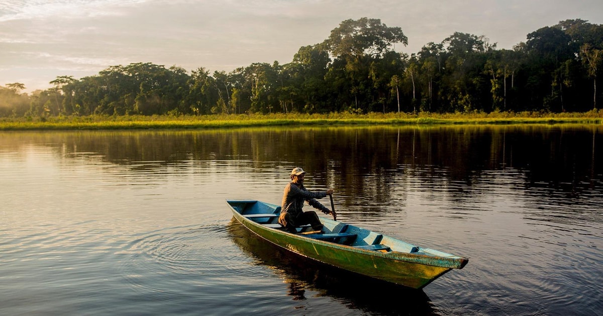 Puerto Maldonado : 4-Day Amazon Rainforest Adventure | GetYourGuide