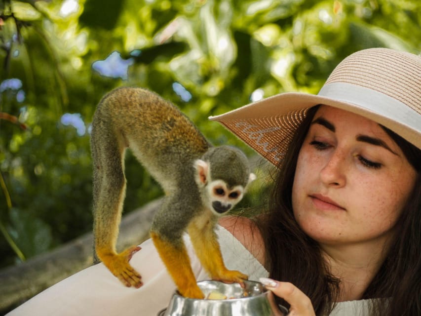 Monkeyland Puerto plata tour | GetYourGuide