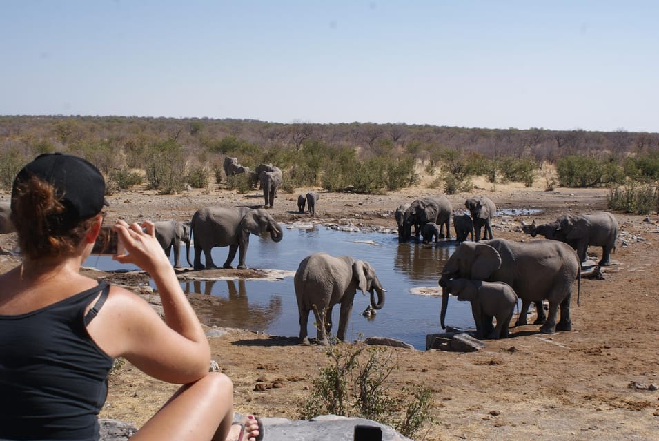 Windhoek - Windhoek: Safari clasic în Namibia | GetYourGuide
