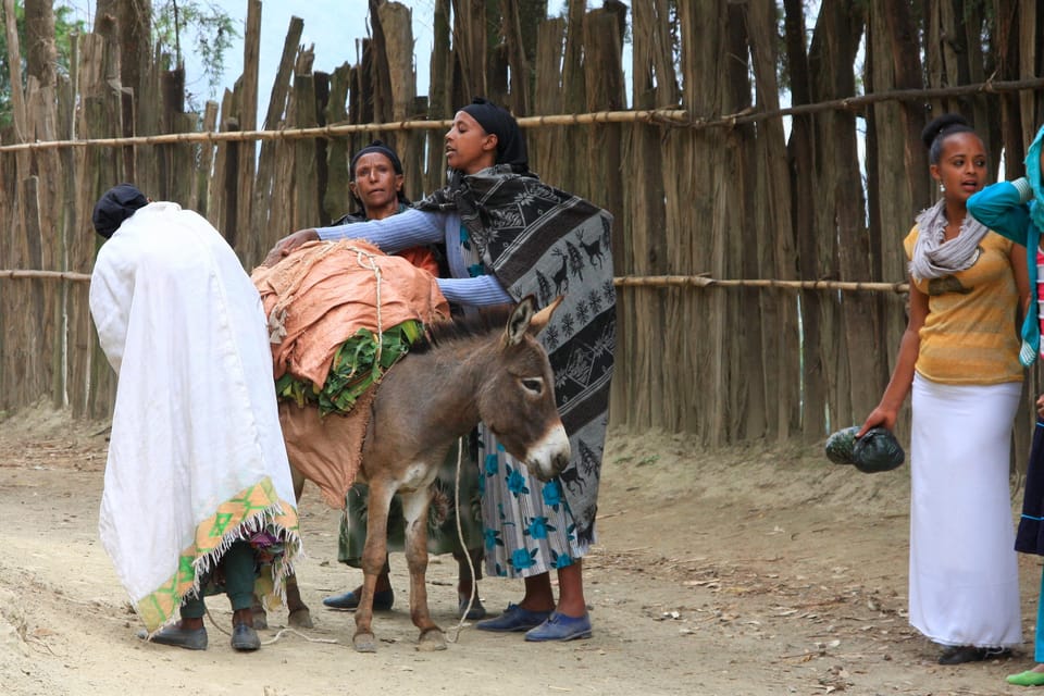 Impresionantes Vistas Lago Cráter Wonchi una excursión de un día en ...