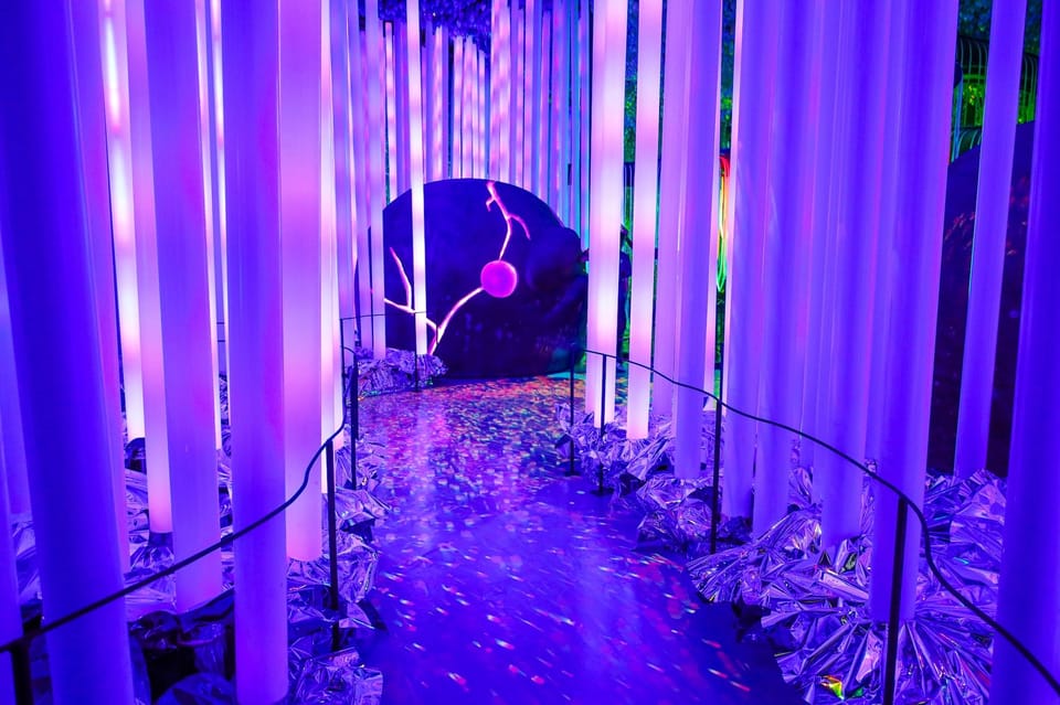 Philadelphia: Otherworld Timed-Entry Ticket | GetYourGuide