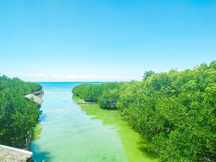 Cebu Bantayan Island Day Tour (Private Tour) | GetYourGuide