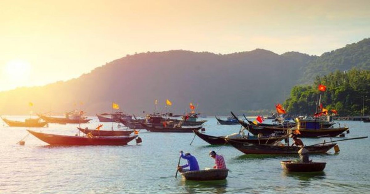 Da Hoi An: Escursione di un giorno a Cu Lao Cham con pranzo a base di ...