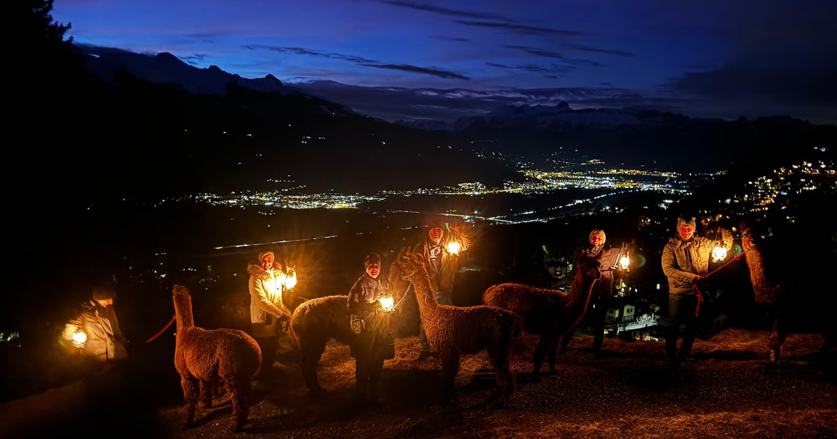 Triesenberg: Walking Tour with Llamas and Cheese Raclette | GetYourGuide