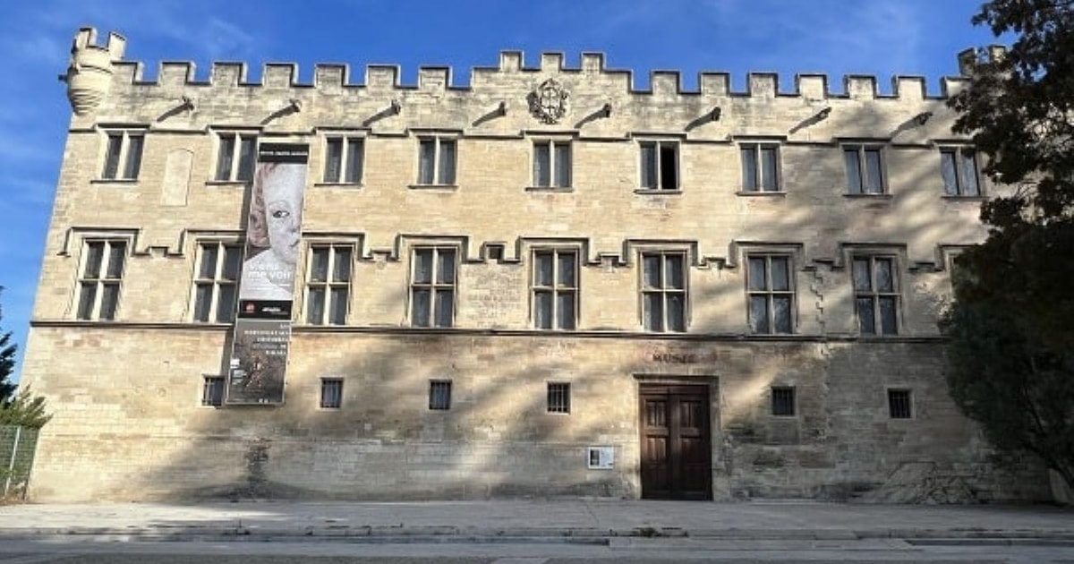 Avignon: All About Avignon Tour | GetYourGuide