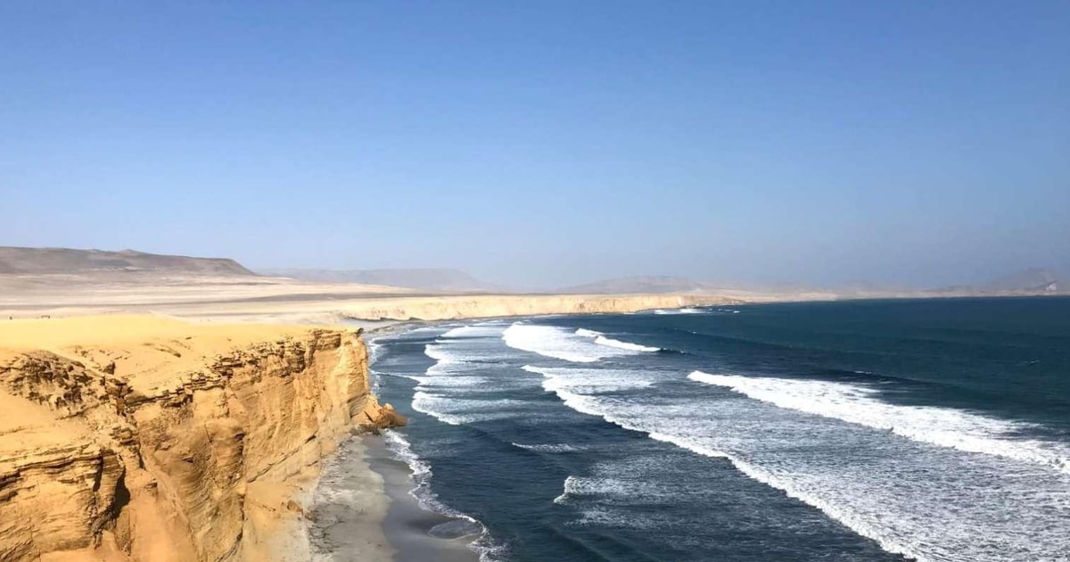 Paracas : Ilhas Ballestas e Reserva de Paracas - Dia inteiro | GetYourGuide