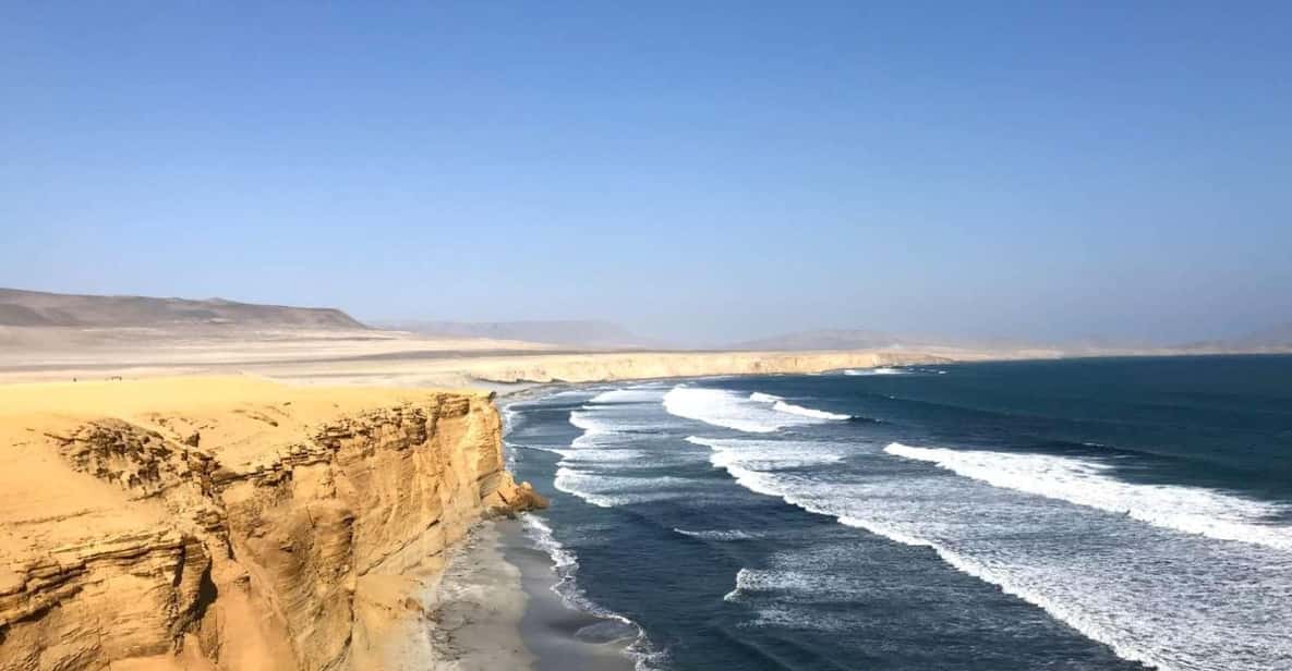 Paracas : Ballestas-øerne og Paracas-reservatet - hele dagen | GetYourGuide