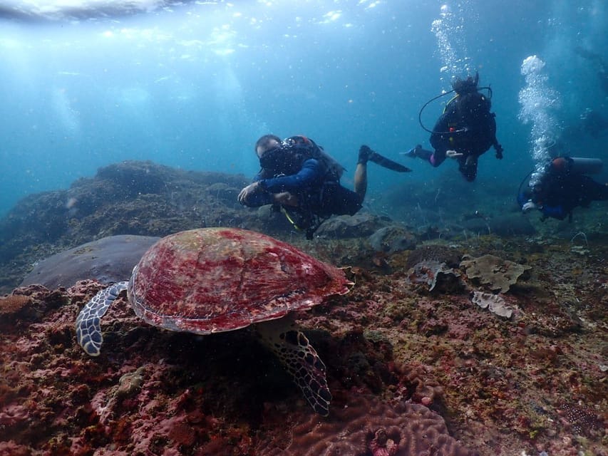 Discover SCUBA diving in Phuket | GetYourGuide