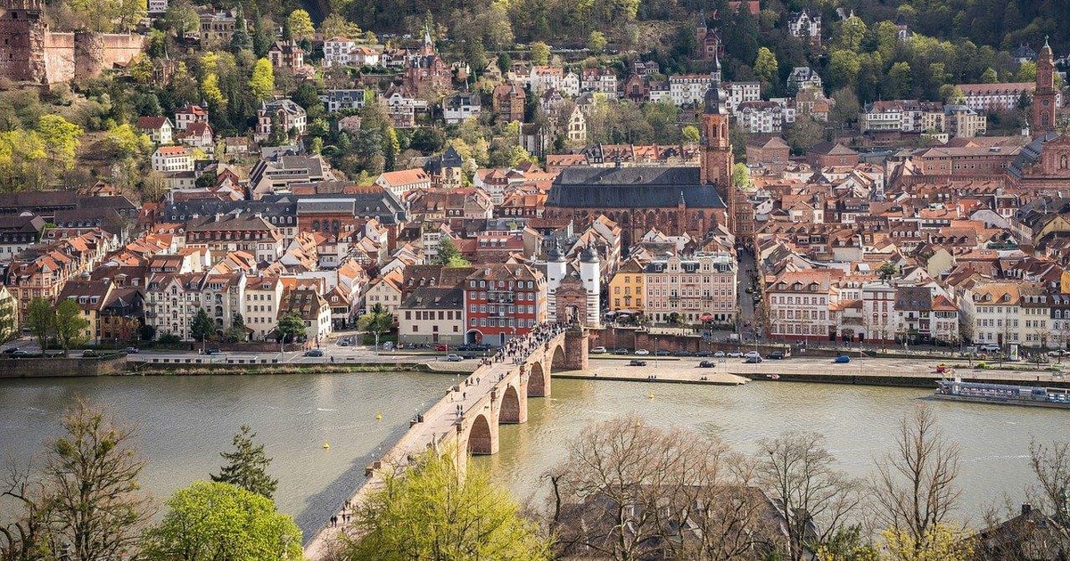 Heidelberg : Excursion privée d'une journée avec château, croisière et ...