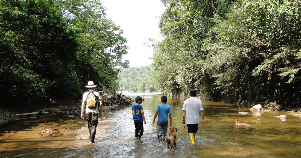 3 Tage Dschungeltour Expedition Amazonien Ecuador Alles inklusive ...