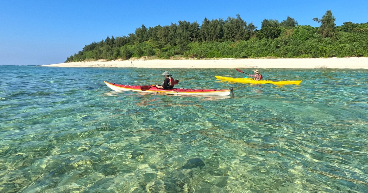 Okinawa: Kayak Mangroves & Ocean Native-English Private Tour | GetYourGuide