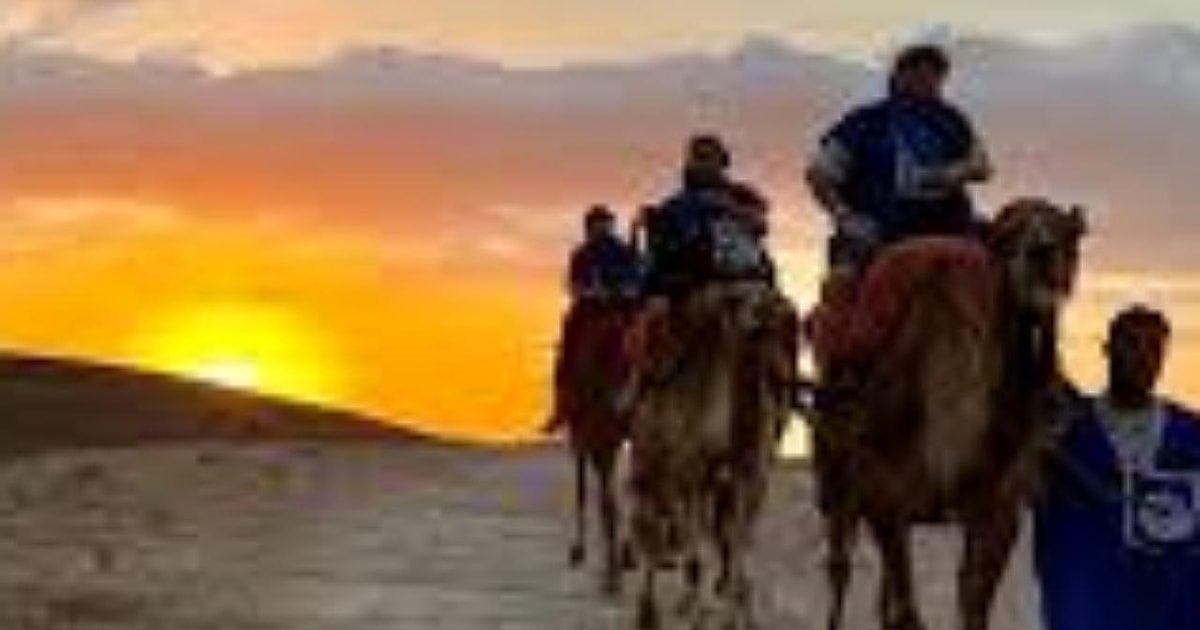 Marrakech: Agafay Desert with Dinner and Camel ride, Show | GetYourGuide