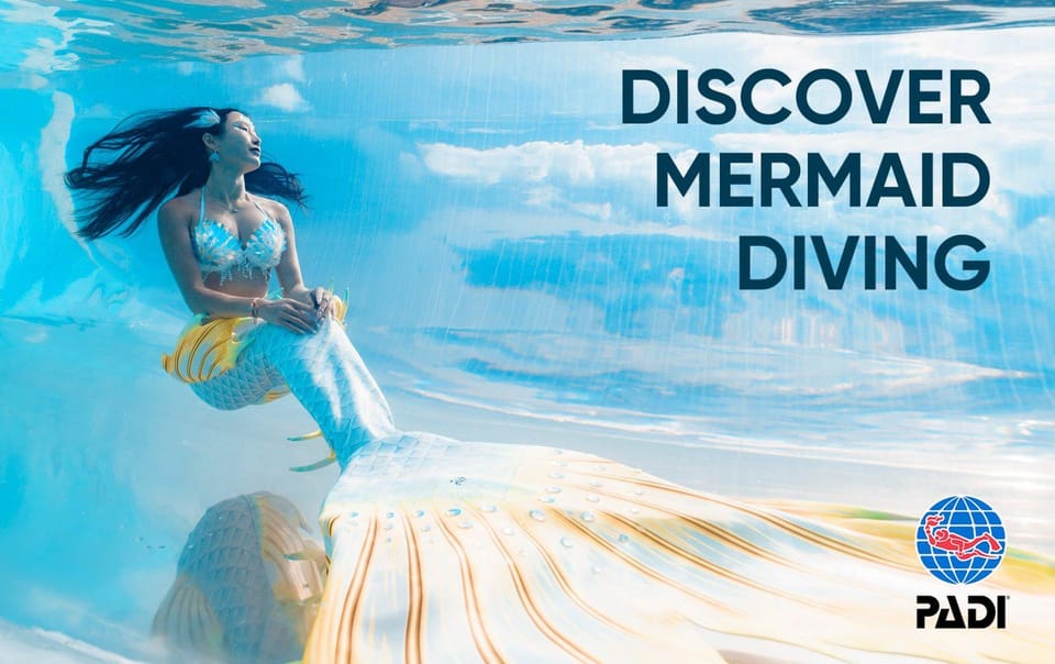 Oceano Adventure's Mermaid Experience | GetYourGuide