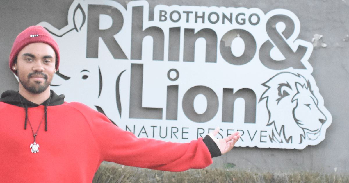 Rhino & Lion Park: Exciting and fun private tour | GetYourGuide