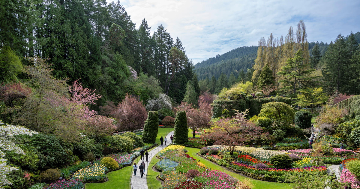 Tour durch Victoria und die Butchart Gardens mit geführter Bootstour zu ...