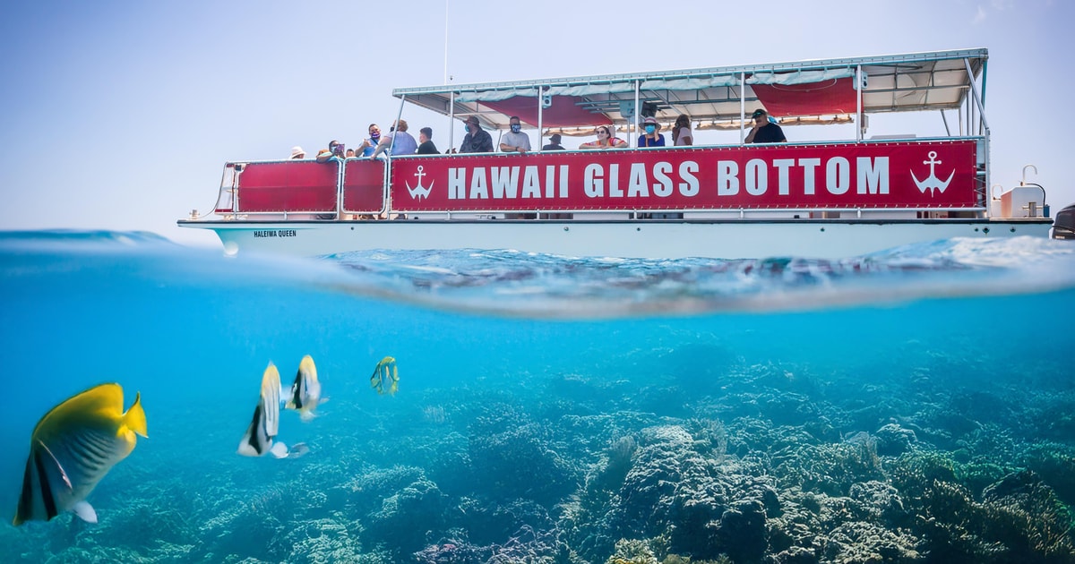 Honolulu: Glass Bottom Boat Tour along Oahu's South Shore | GetYourGuide