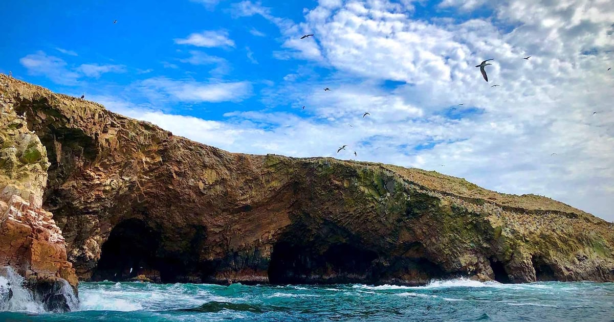 Paracas: Combo Avventura Tour Guidato Isole Ballestas + Noleggio ...