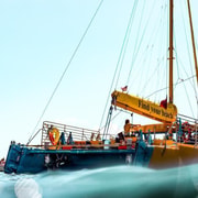 Honolulu: Catamaran Swim, Snorkel, and Sail with Drinks | GetYourGuide