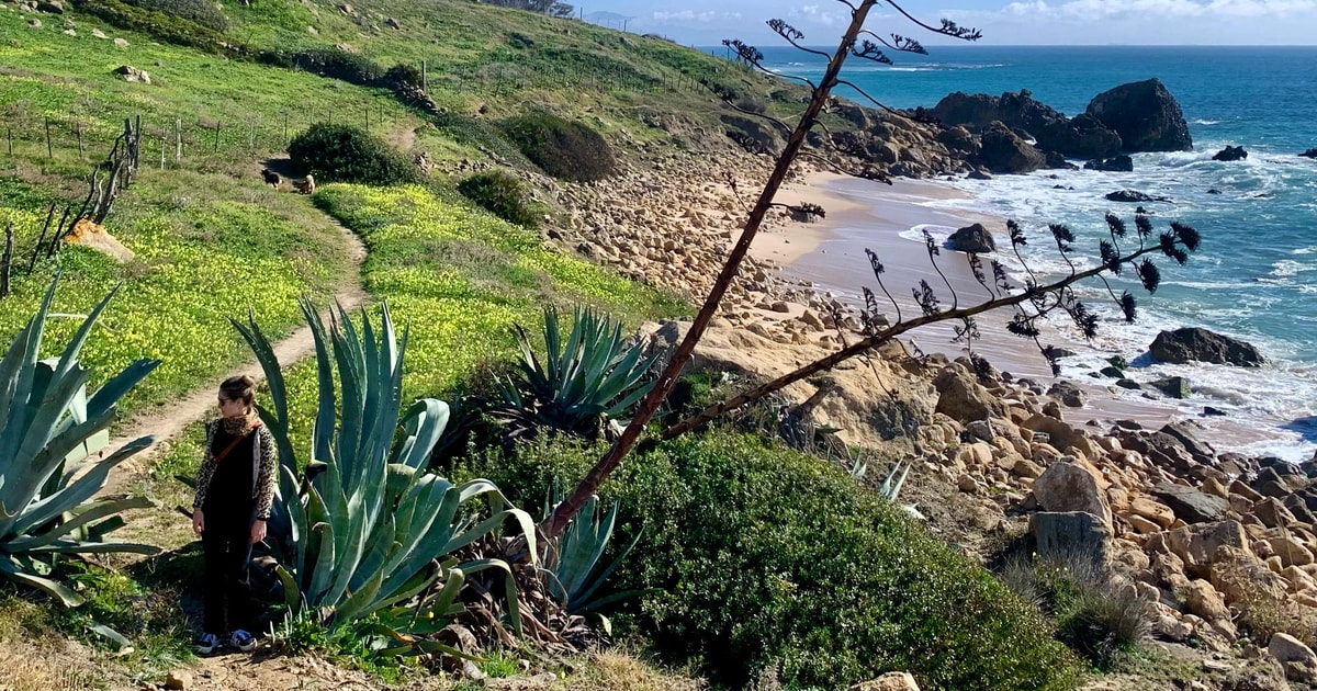 From Tarifa: Guided hiking tour in the Strait Natural Park | GetYourGuide