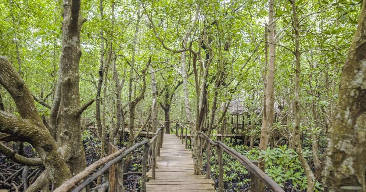 Zanzibar: Jozani Forest National Park Guided Tour | GetYourGuide