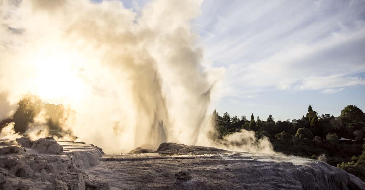 Te Puia: Te Rā Guided Day Tour | GetYourGuide