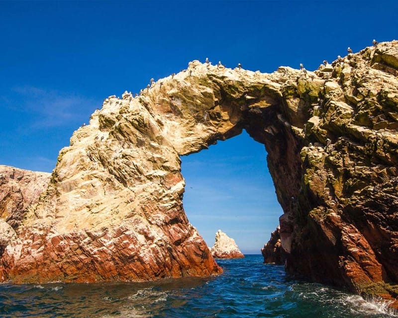 Ica: Ausflug Ballestas Inseln & Paracas Nationalreservat | GetYourGuide
