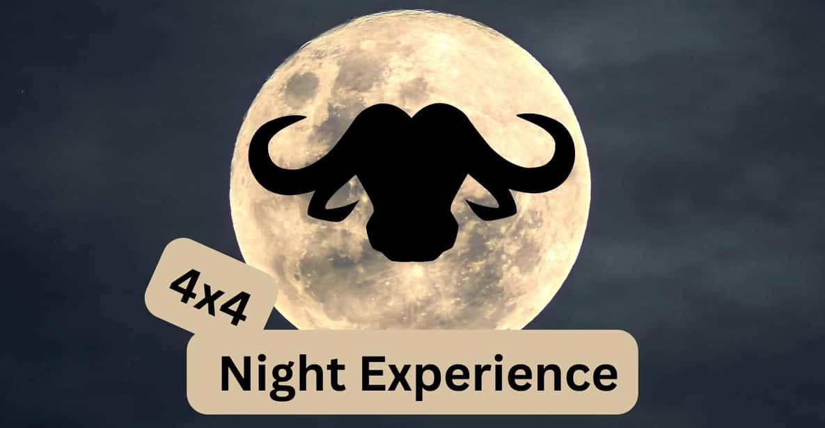 Victoria Falls : 4x4 éjszakai élmény a Viktória-vízesés körül ...