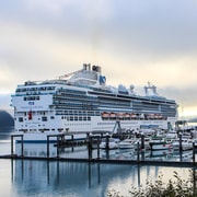 Whittier: Cruise Transit Tour to & from Anchorage - 2026 (Verified Reviews)