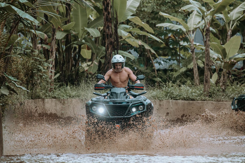Ubud Atv Quad Bike Ride 850cc by Alasan Adventure | GetYourGuide